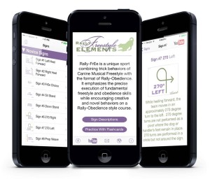 Home - Rally Freestyle Elements